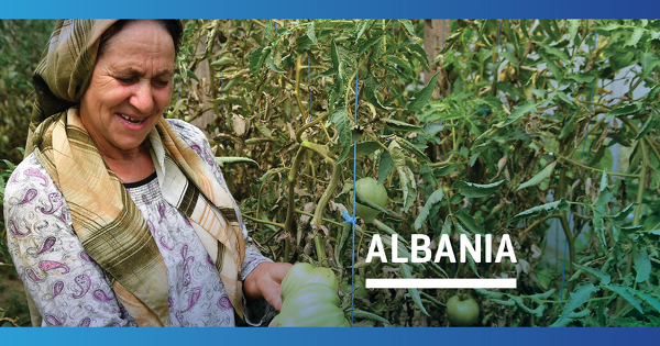 IRaise for Albania 2024